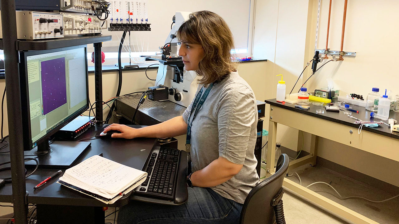 OU student Sarah Denha travels to Marine Biological Laboratory – The ...